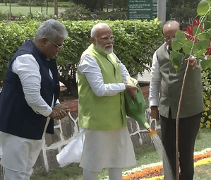 On World Environment Day, PM Modi's 'Ek Ped Maa Ke Naam' campaign ...