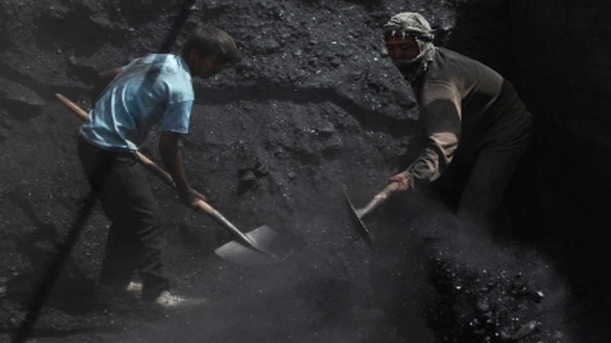 7 coal blocks successfully auctioned in 12th round, to create 7,098 ...